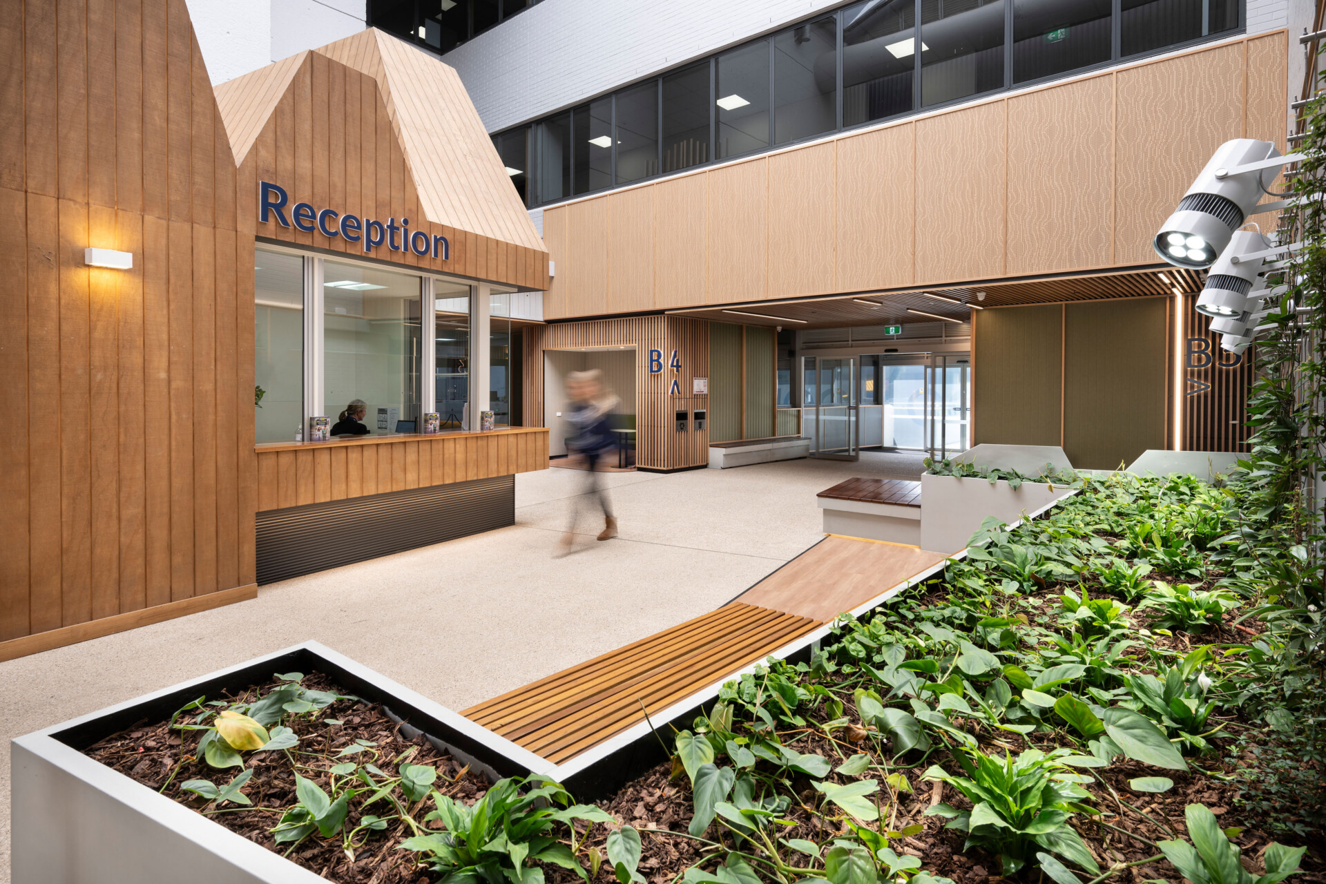 Building 3/4 Atrium Upgrade – Box Hill Institute – Brand Architects